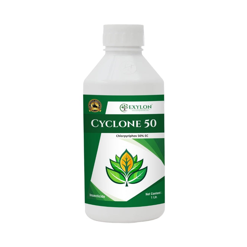 Buy Cyclone 50 (Chlorpyriphos 50% EC) Insecticide Online – Broad ...